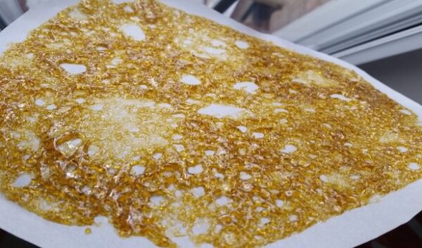 How to Make BHO Step by Step with TheCapn – The Dude Grows Show