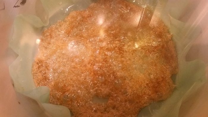 How to Make BHO Step by Step with TheCapn – The Dude Grows Show