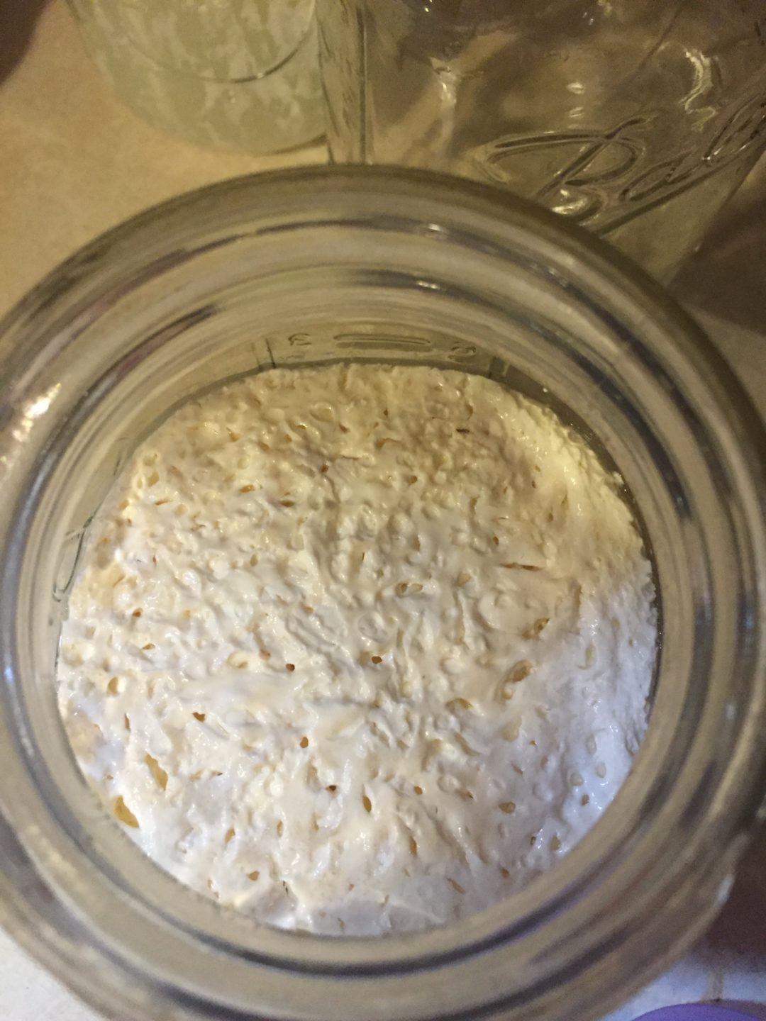 How to Make and Use Your Own Lactobacillus Culture – The Dude Grows Show