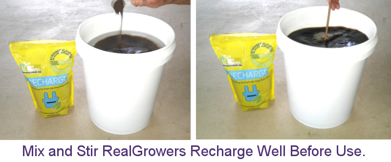 RealGrowers Recharge Cannabis User Guide – The Dude Grows Show