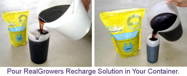 RealGrowers Recharge Cannabis User Guide – The Dude Grows Show