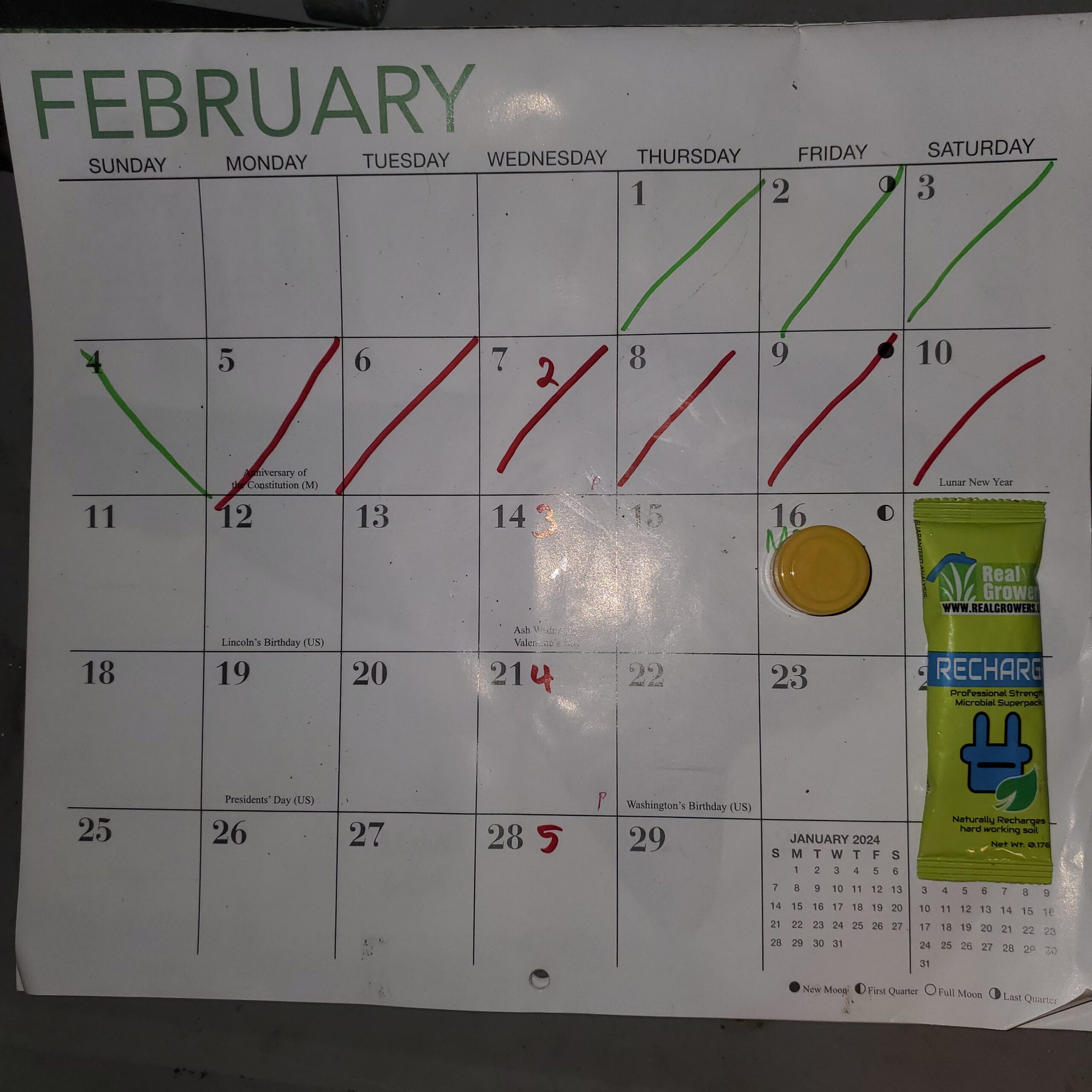 Week 2 flower – The Dude Grows Show