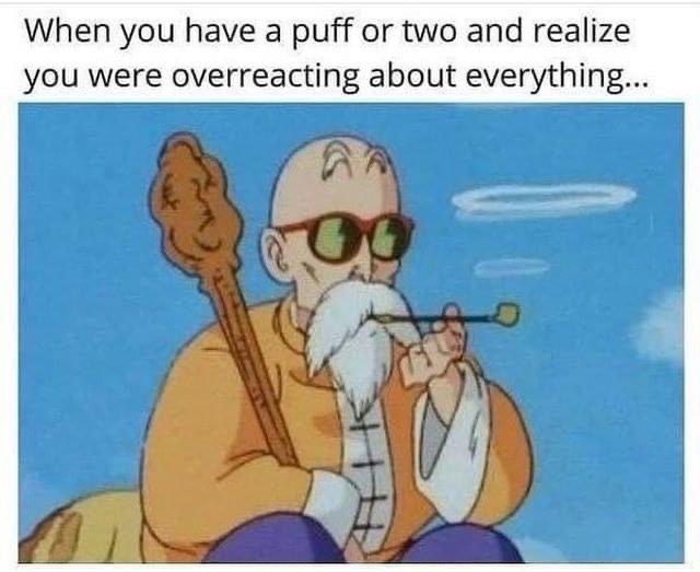 Memes – The Dude Grows Show